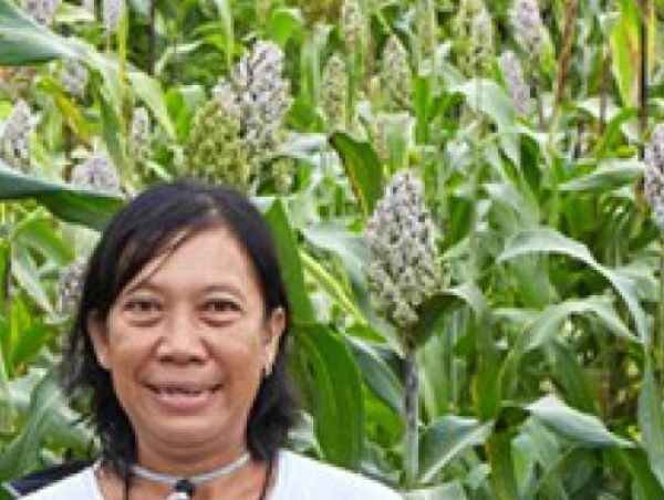 Maria Loreta, “Kartini Sorgum NTT”